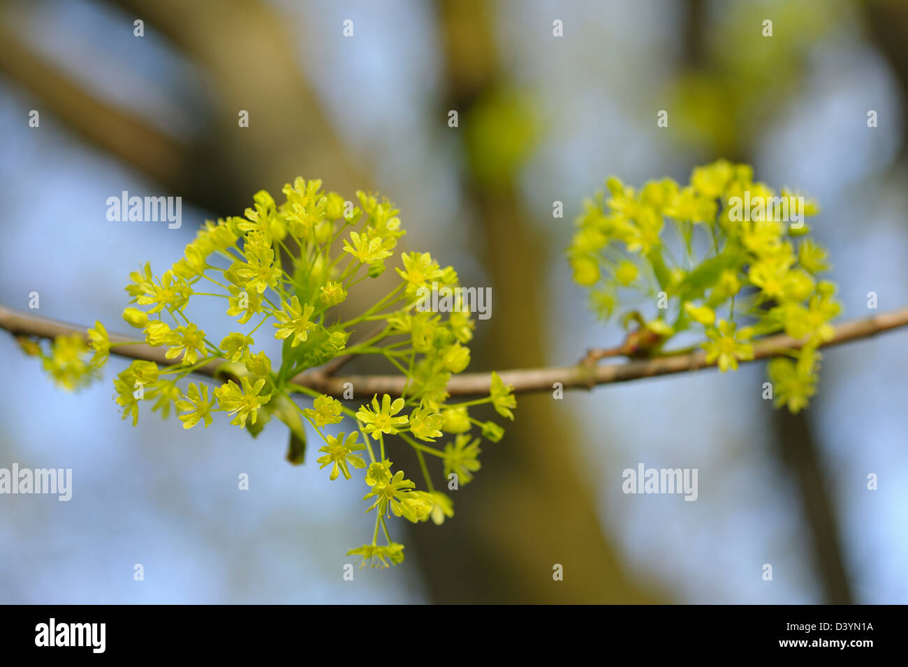 Aschaffenburg detail hi-res stock photography and images - Alamy