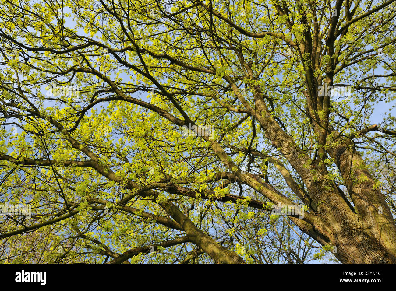Aschaffenburg detail hi-res stock photography and images - Alamy