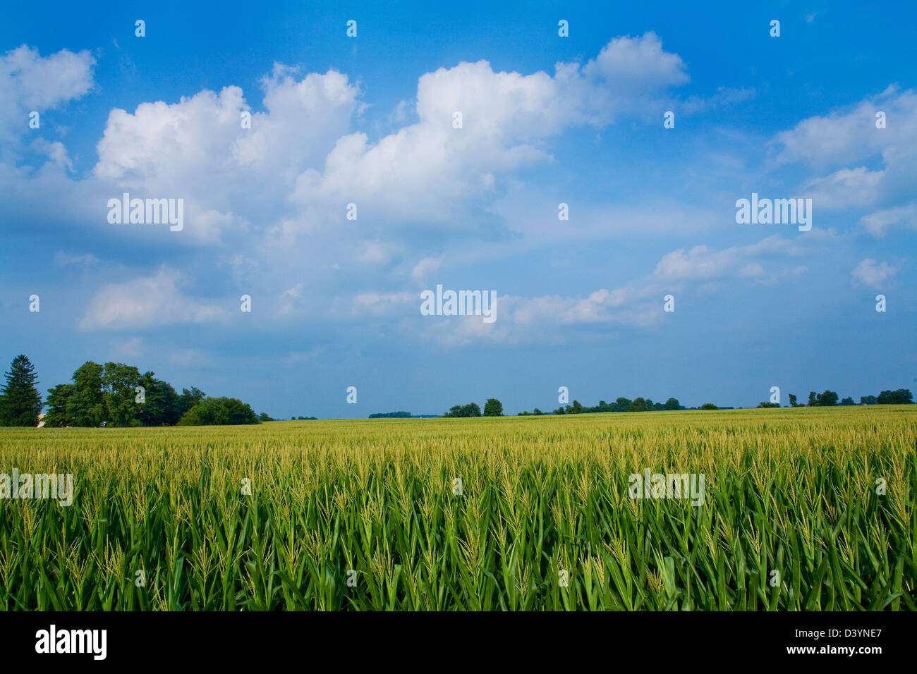 Millville High Resolution Stock Photography and Images - Alamy
