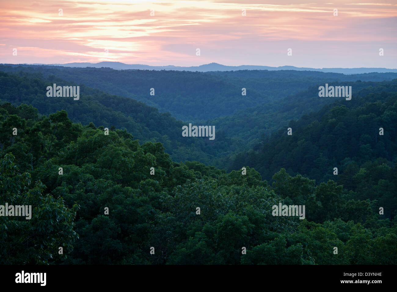 Ozark Mountain Range