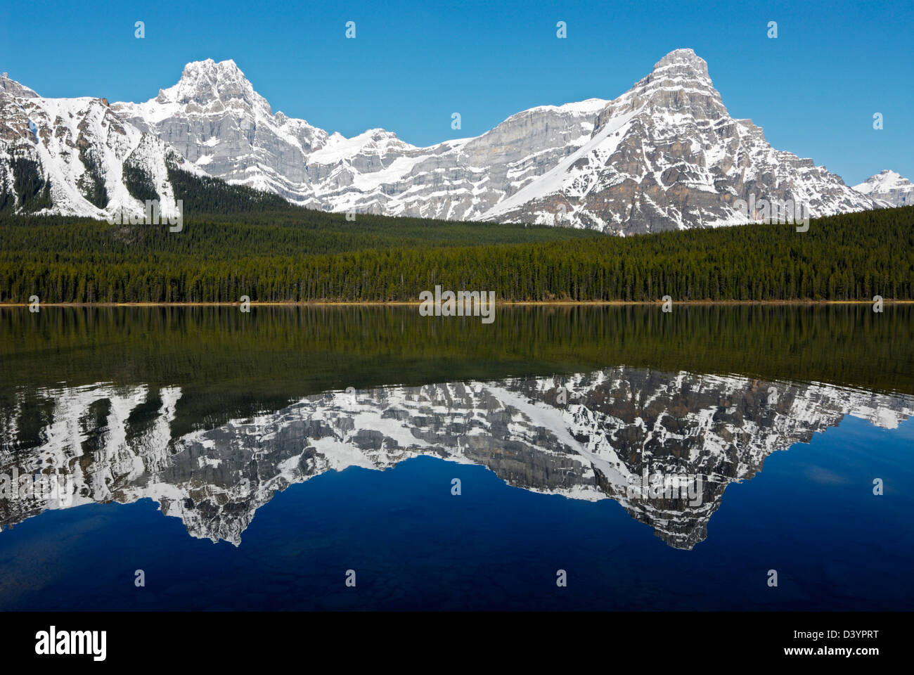 Howse peak banff national park hi-res stock photography and images - Alamy