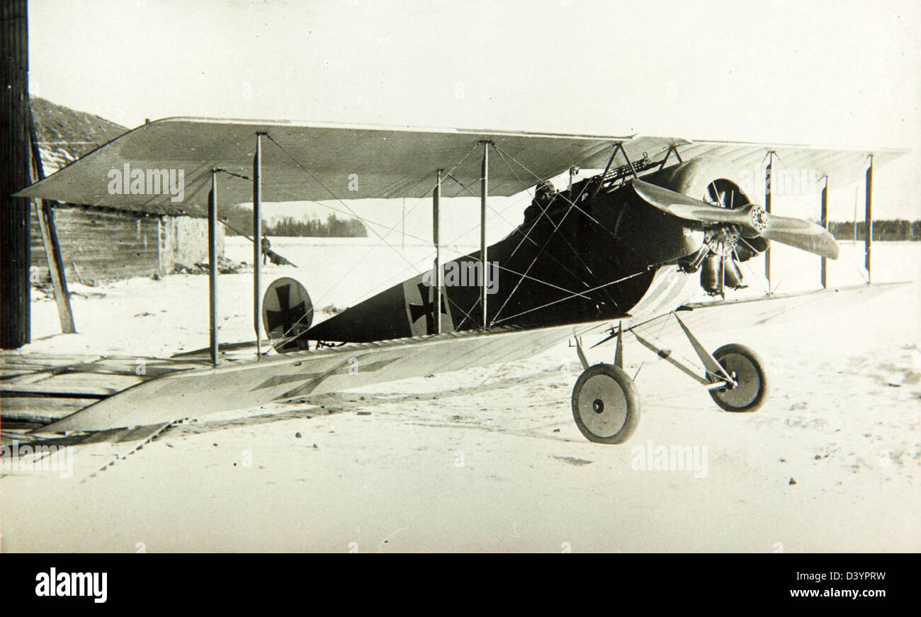 Fokker, D.II Stock Photo: 54085693 - Alamy