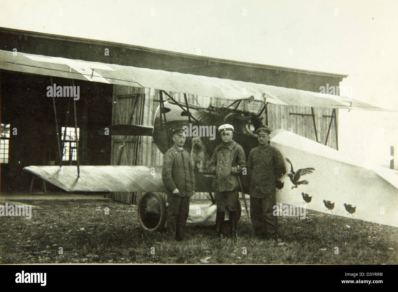 Fokker d.vii hi-res stock photography and images - Alamy