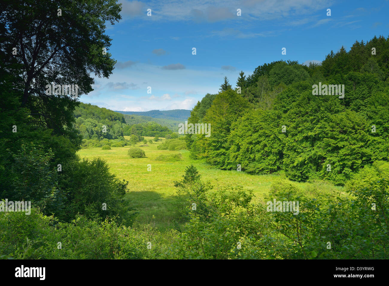 Main spessart hi-res stock photography and images - Alamy