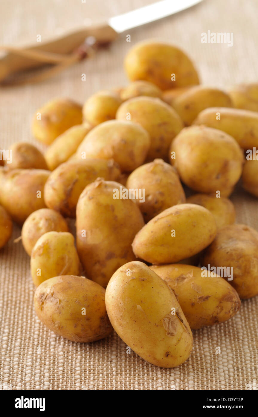 Food close up photography hi-res stock photography and images - Alamy