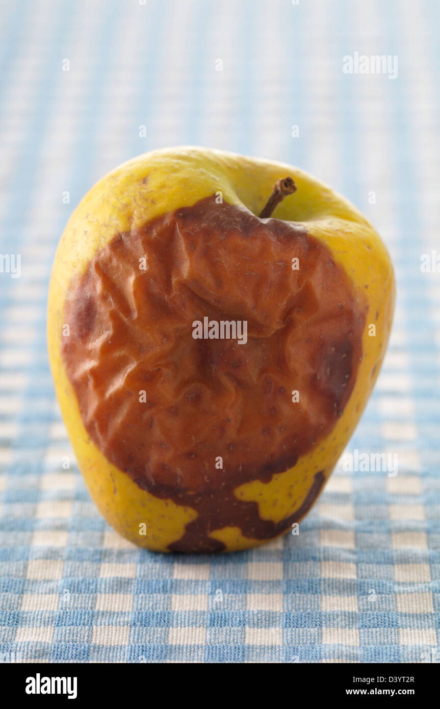 Rotten apple inside hi-res stock photography and images - Alamy