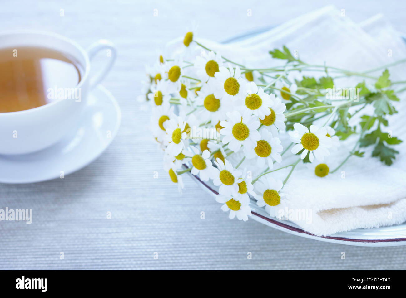 Camomile and Tea Stock Photo - Alamy