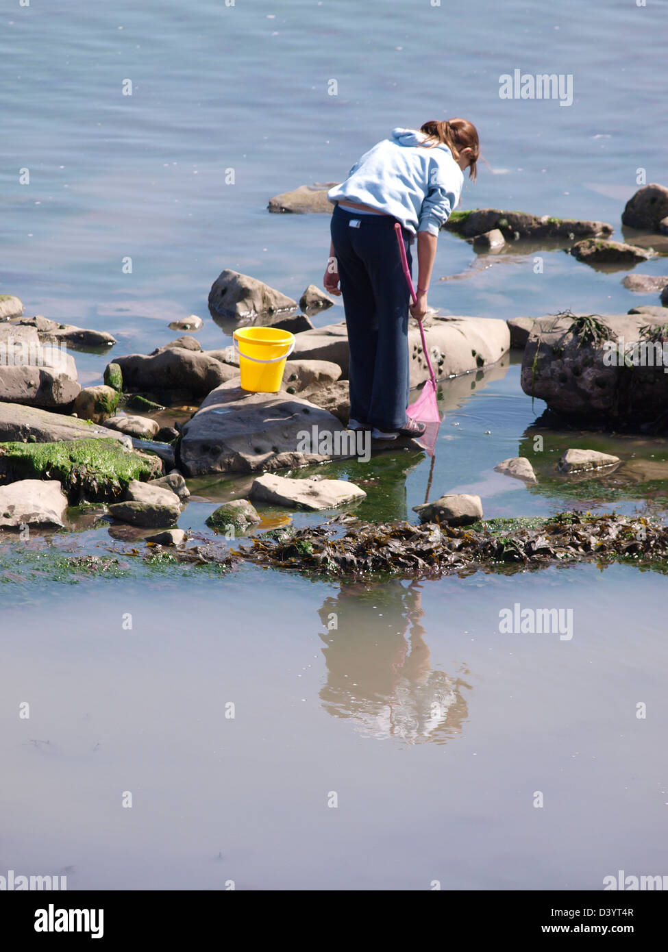 Children at rock pool Stock Photo - Alamy