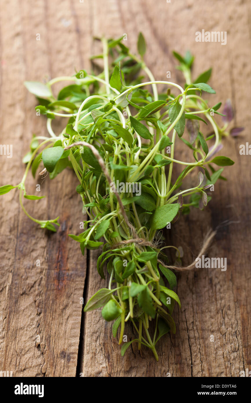 Thyme hi-res stock photography and images - Alamy