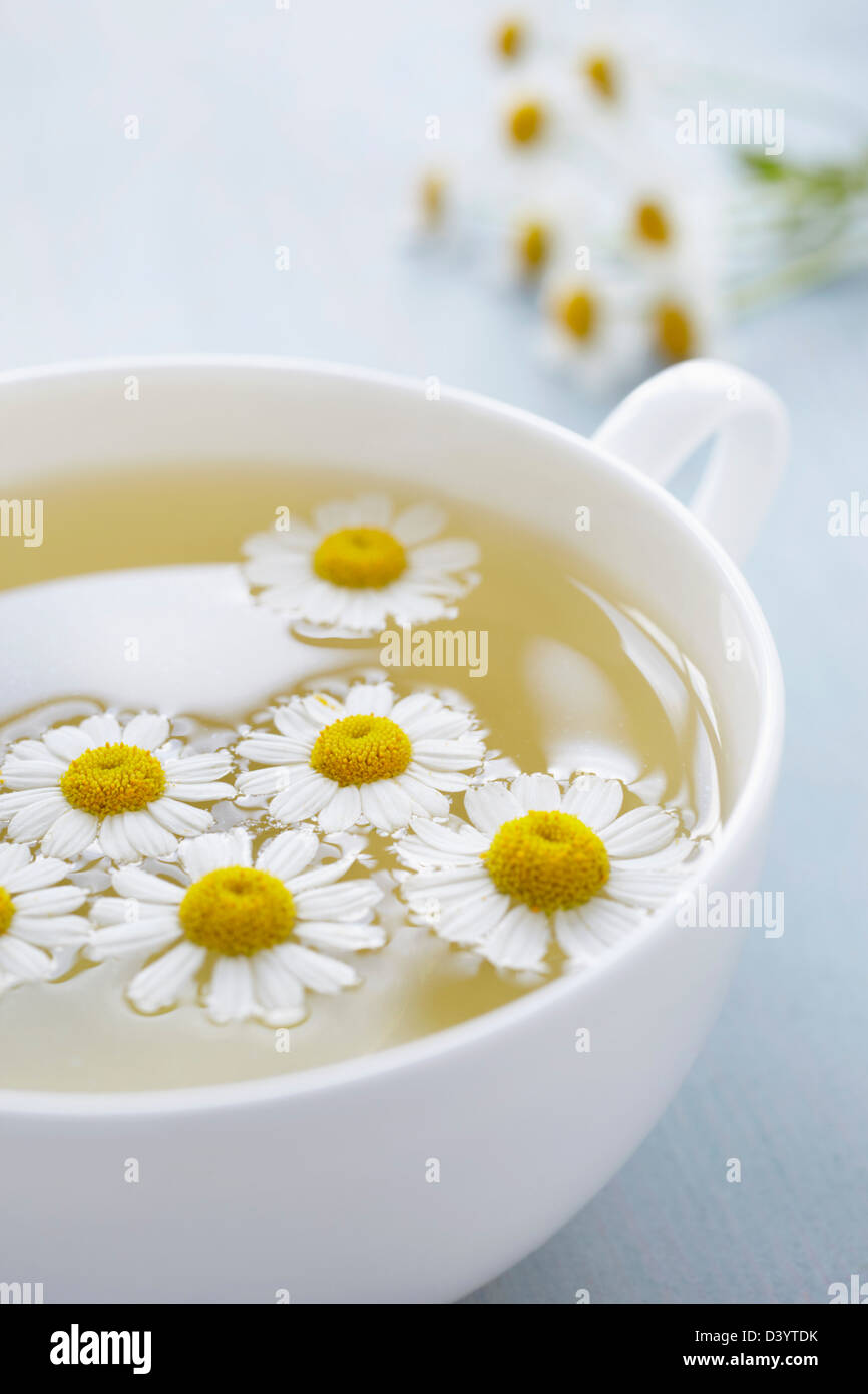 Get well with chamomile tea hi-res stock photography and images - Alamy