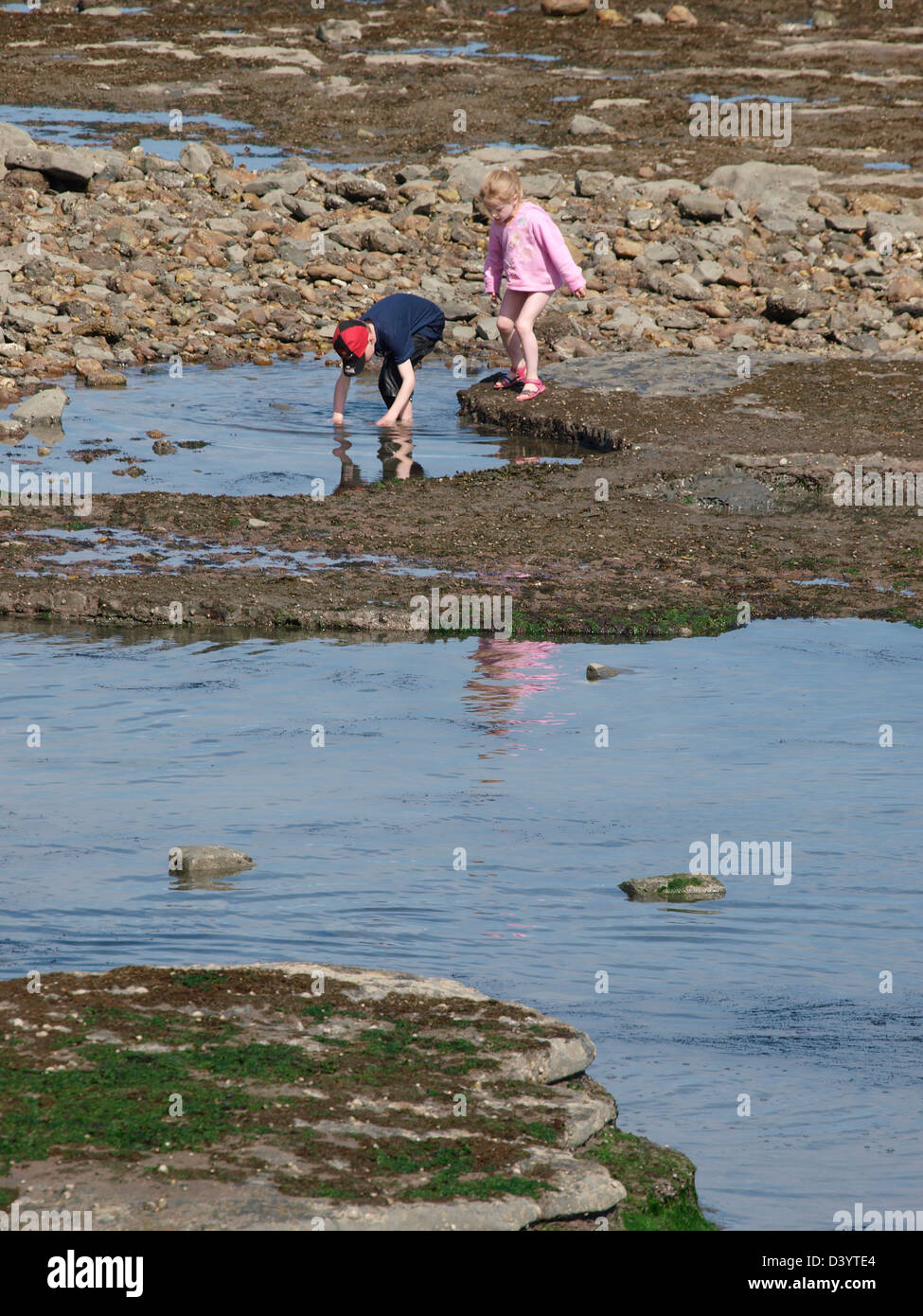 Children at rock pool Stock Photo - Alamy