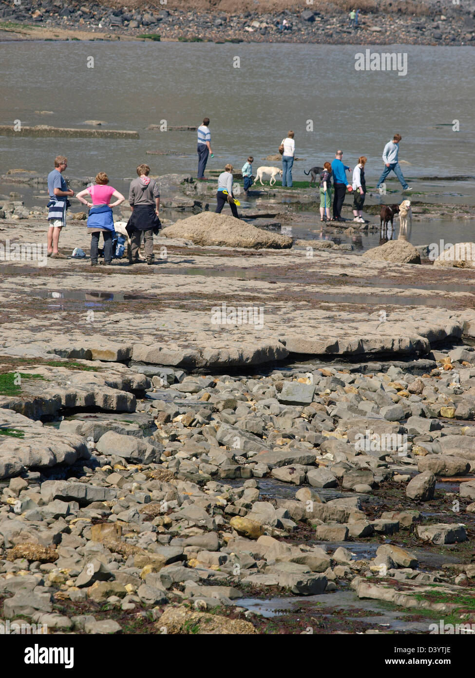Children at rock pool Stock Photo - Alamy