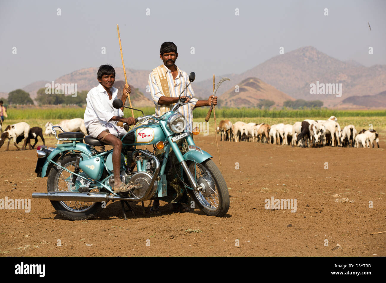 Royal Enfield diesel Bullet India Stock Photo - Alamy