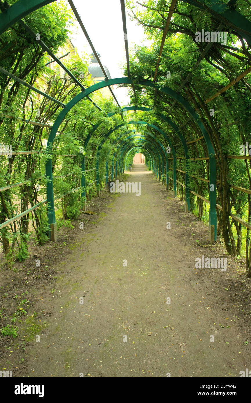 The beautiful avenue in the park Gachina Stock Photo - Alamy
