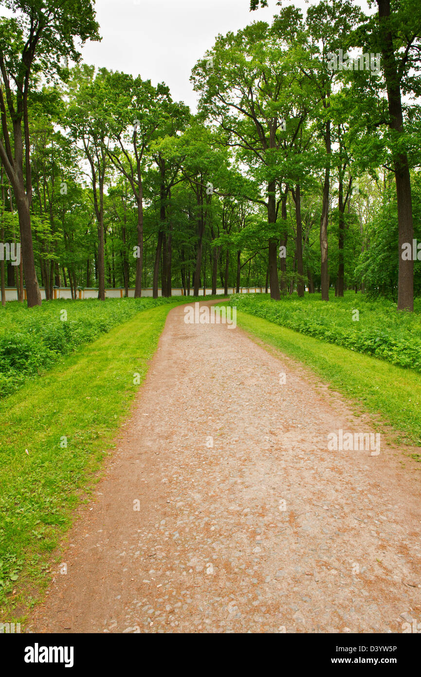 Paths in park autumn tree hi-res stock photography and images - Alamy