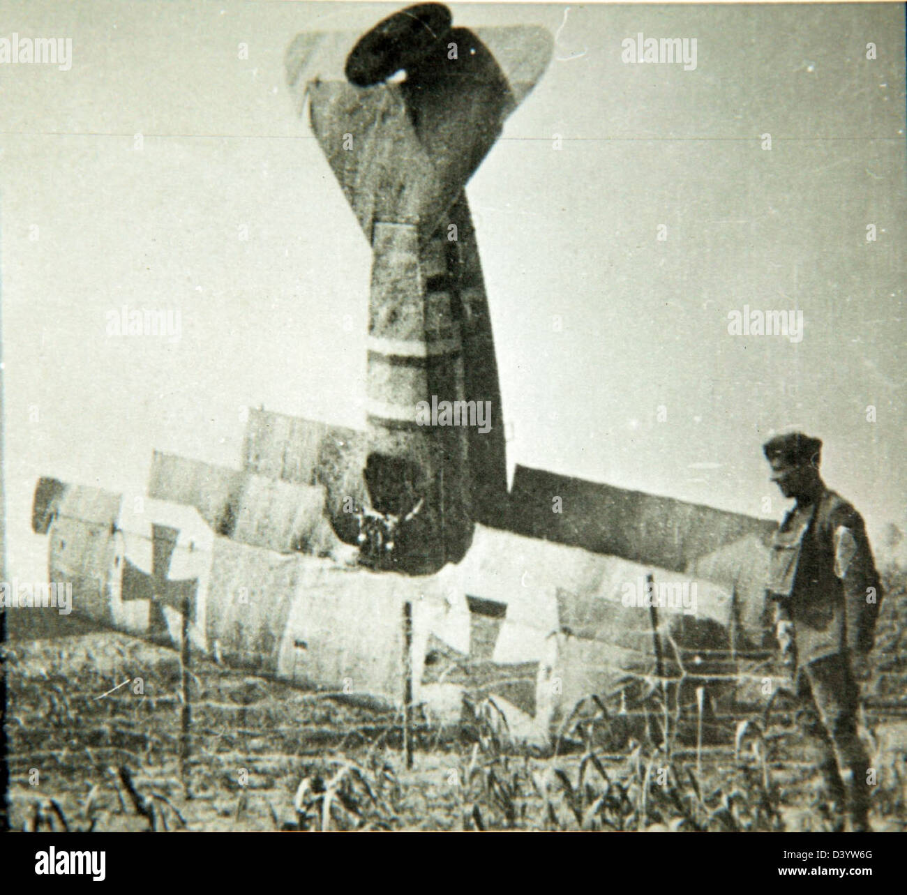 Triplane hi-res stock photography and images - Alamy