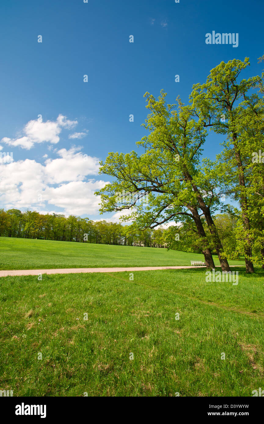 Different types of beautiful gardens and a meadow Stock Photo - Alamy