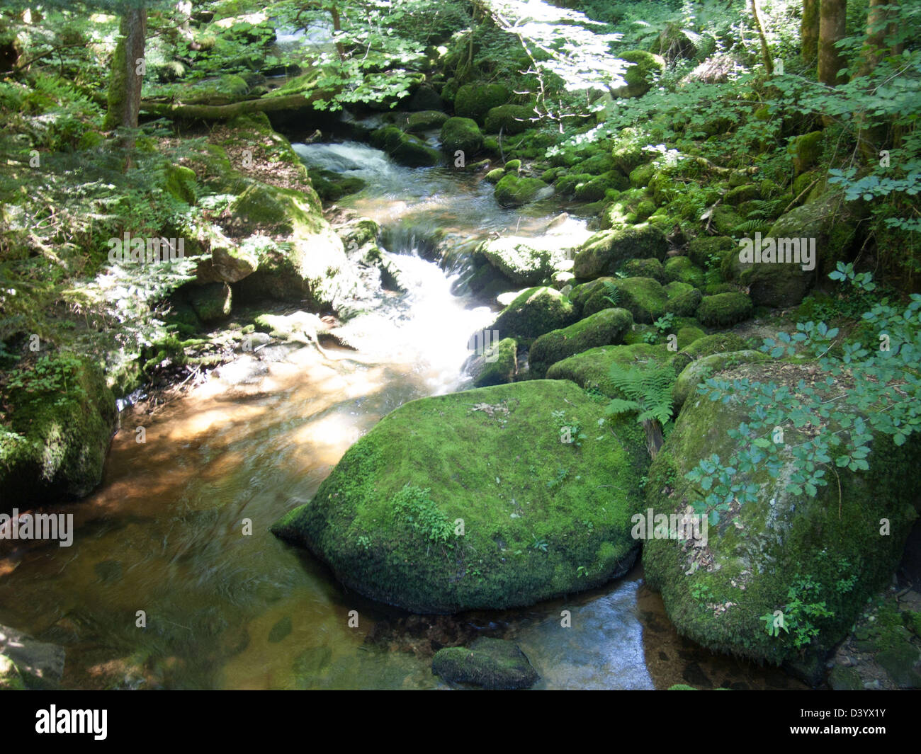 Forez france hi-res stock photography and images - Alamy
