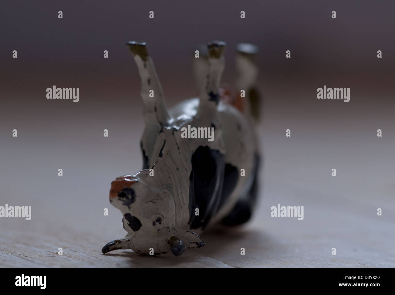 concept image of a toy cow placed on it's back with legs up in the air ...
