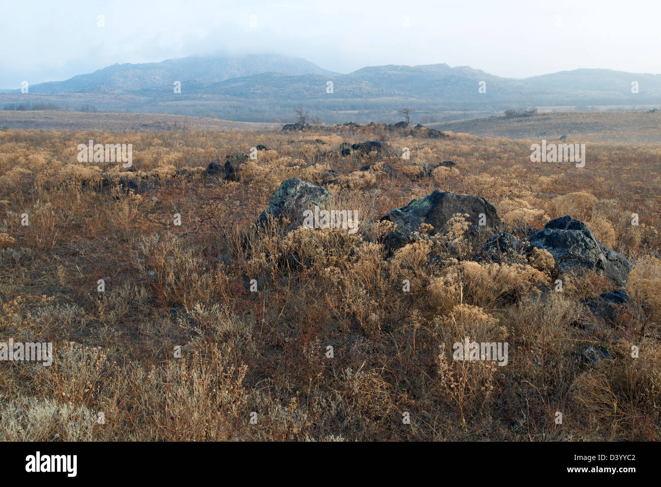 Wichita mountain wildlife refuge hi-res stock photography and images ...