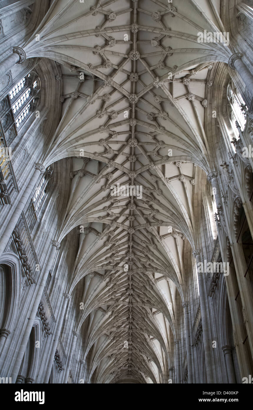 Fan vaulted ceiling of nave in Winchester cathedral Stock Photo - Alamy