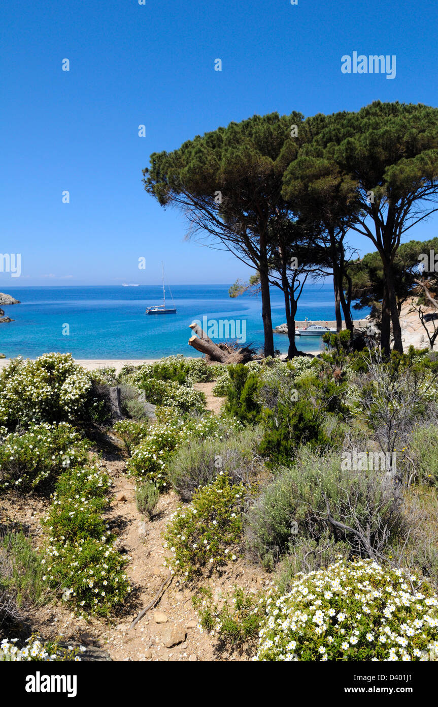 Italy Tuscany Montecristo island Cala Maestra Tuscan Archipelago ...