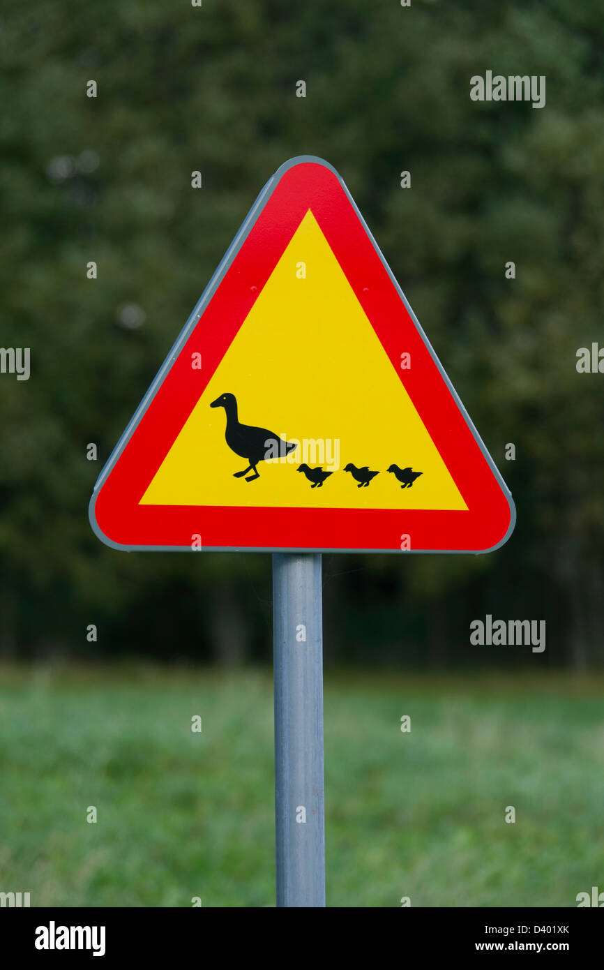 Warning sign for waterfowl and ducks crossing the road Stock Photo - Alamy