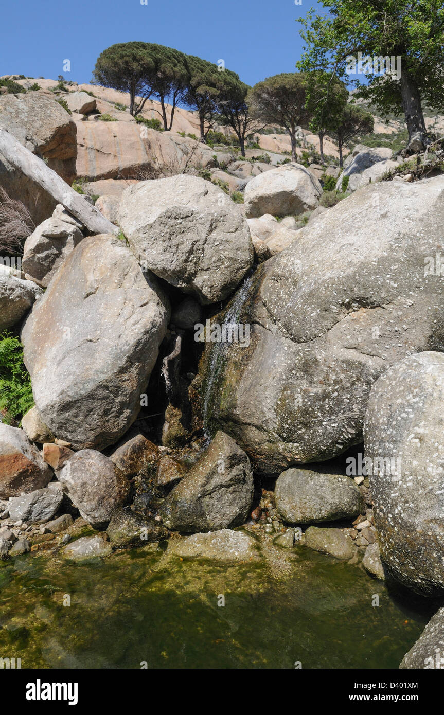 Arcipelago toscano national park hi-res stock photography and images ...