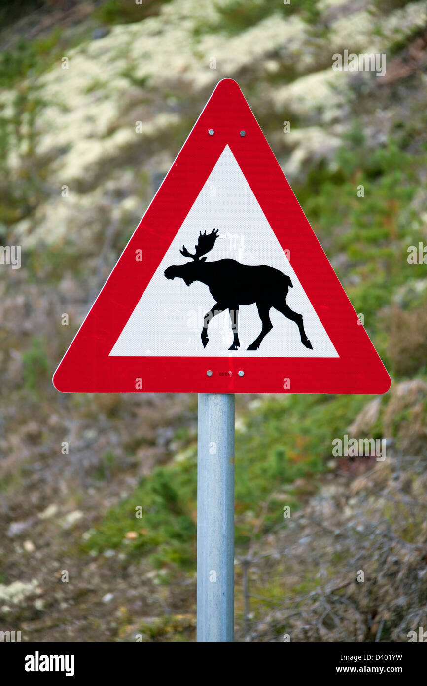 Swedish Moose Crossing Sign