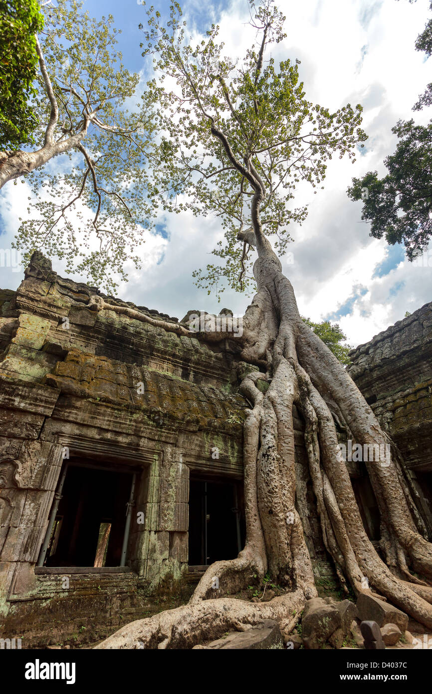 Ta phrom temple hi-res stock photography and images - Alamy