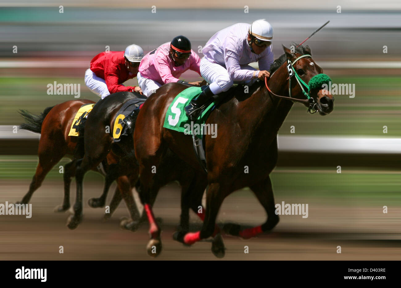 down the stretch Stock Photo - Alamy