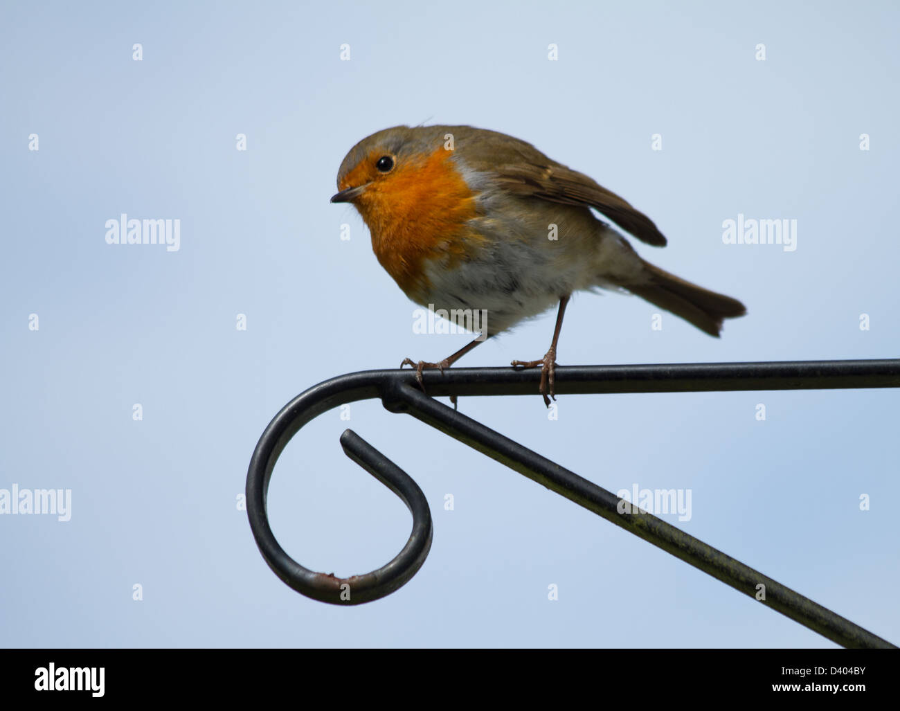 Bracket hook hi-res stock photography and images - Alamy