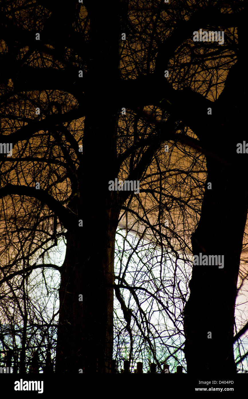 Metal Fence Night High Resolution Stock Photography and Images - Alamy