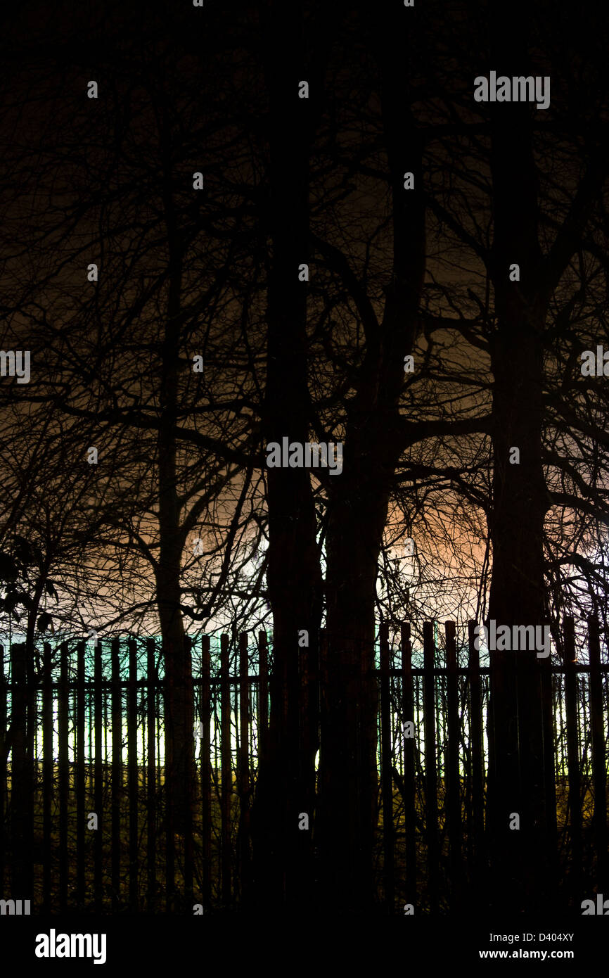 Silhouetted trees at night with metal fence Stock Photo - Alamy