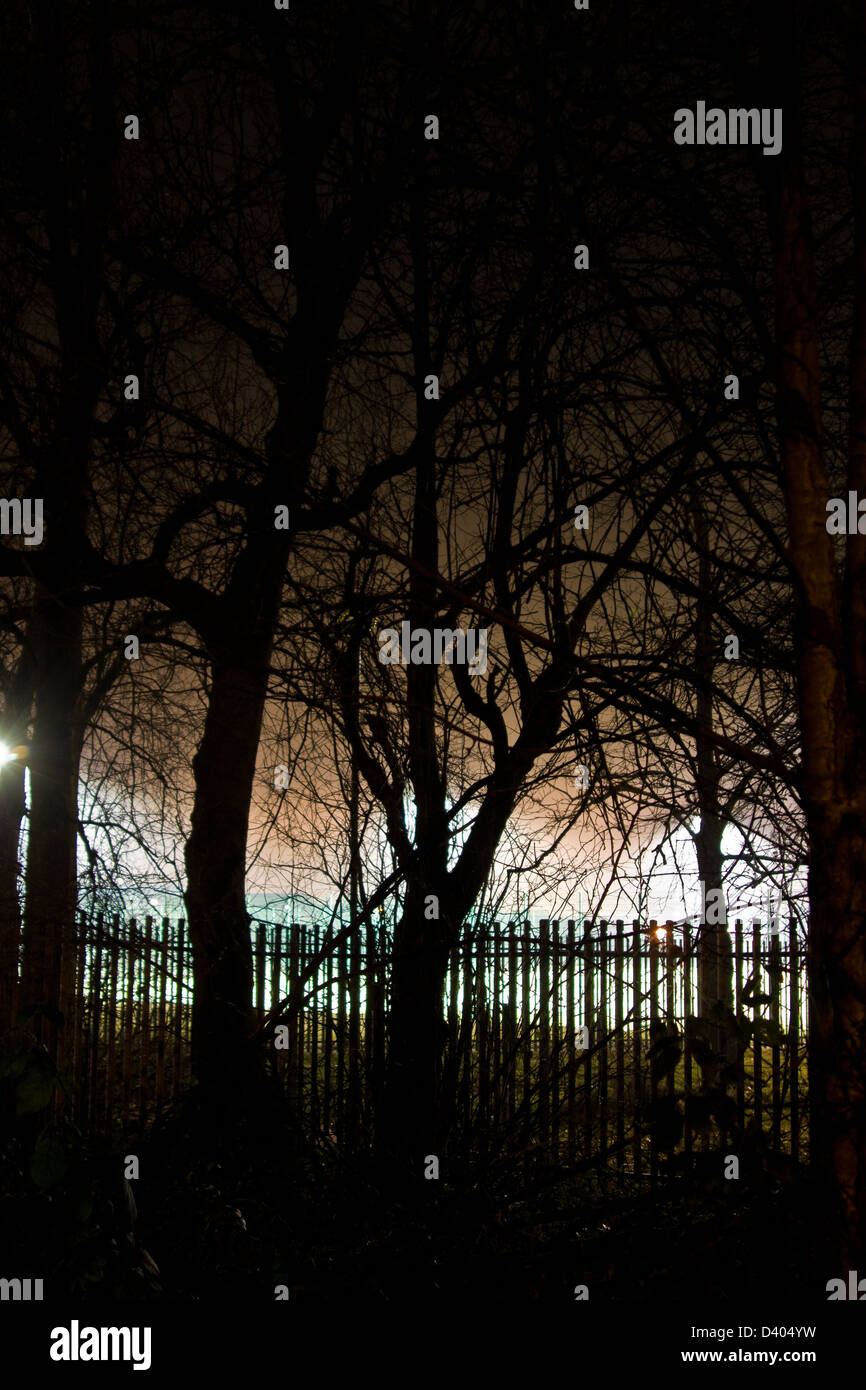 Silhouetted trees at night with metal fence Stock Photo - Alamy