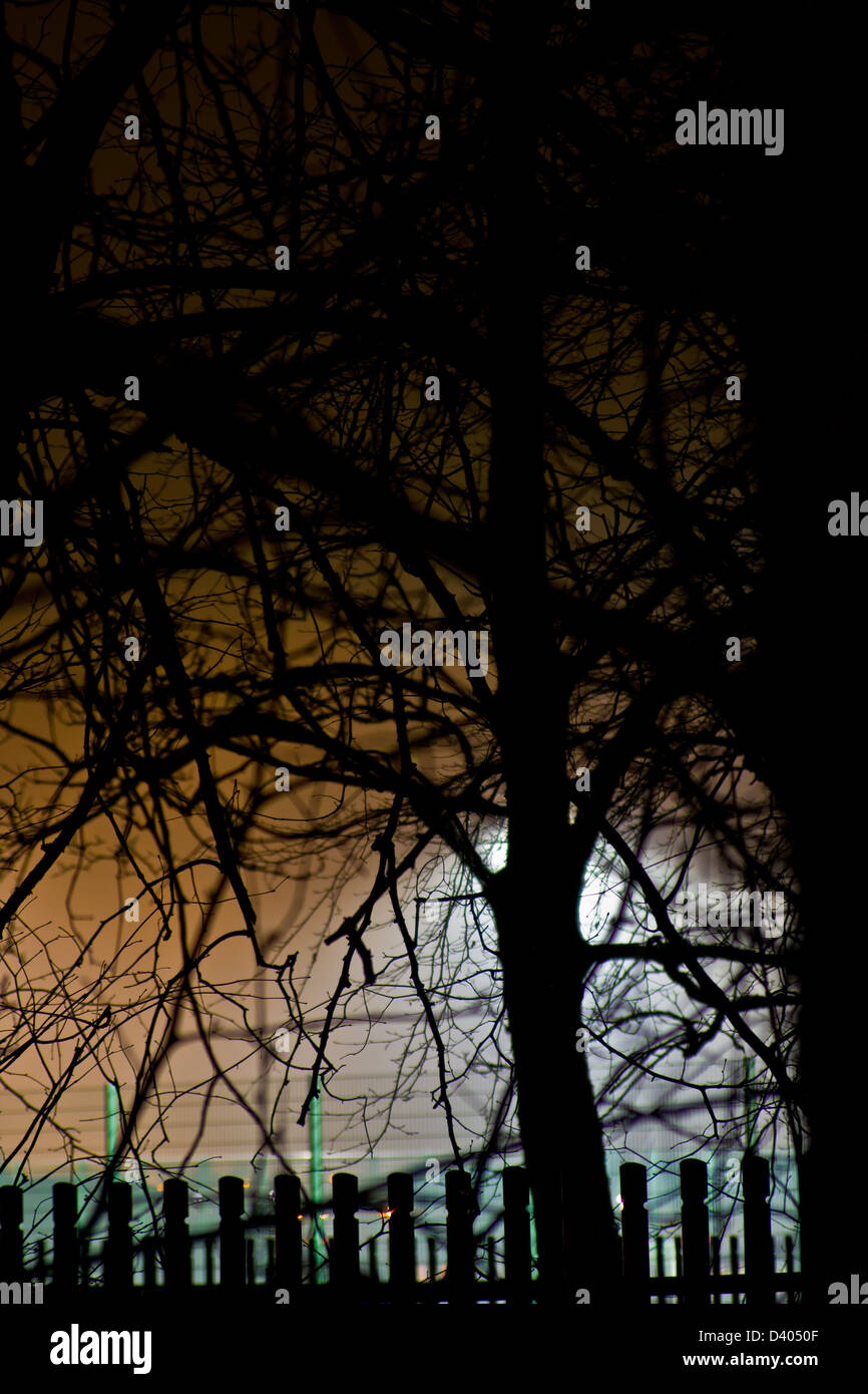 Silhouetted trees at night with metal fence Stock Photo - Alamy