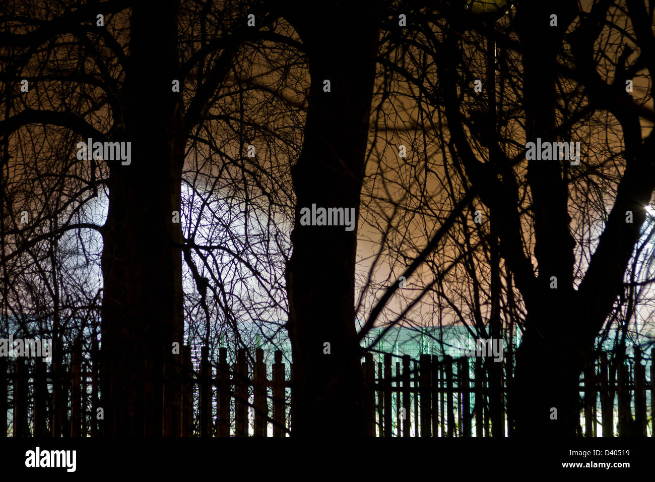 Silhouetted trees at night with metal fence Stock Photo - Alamy
