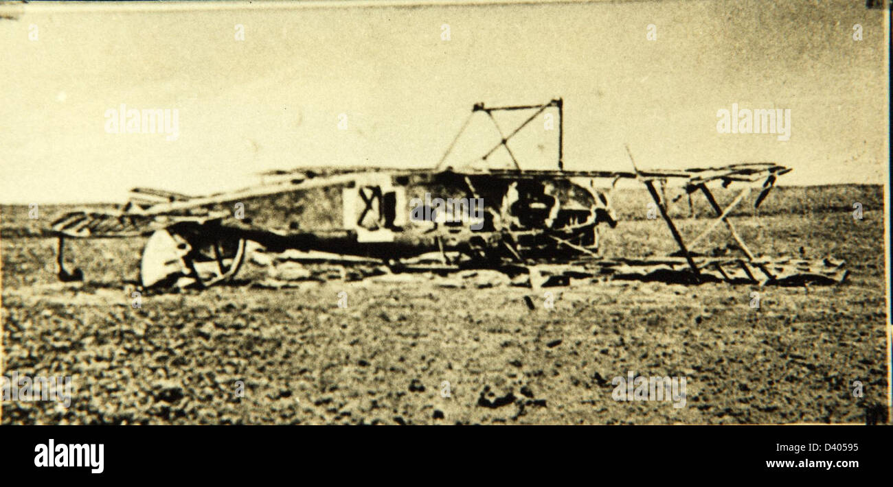 Halberstadt aircraft hi-res stock photography and images - Alamy