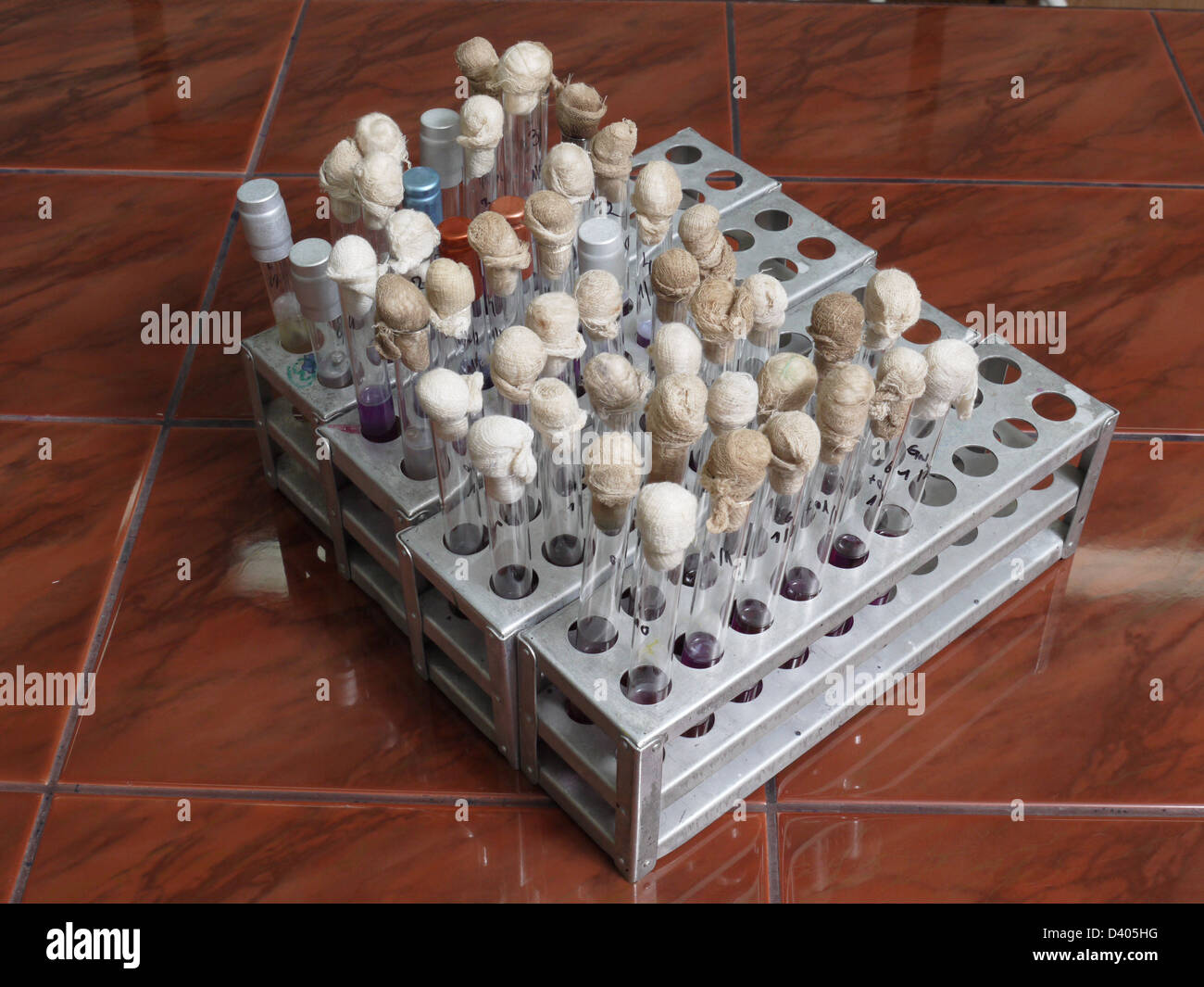 Metal rack with laboratory test tubes filled with chemical substances ...