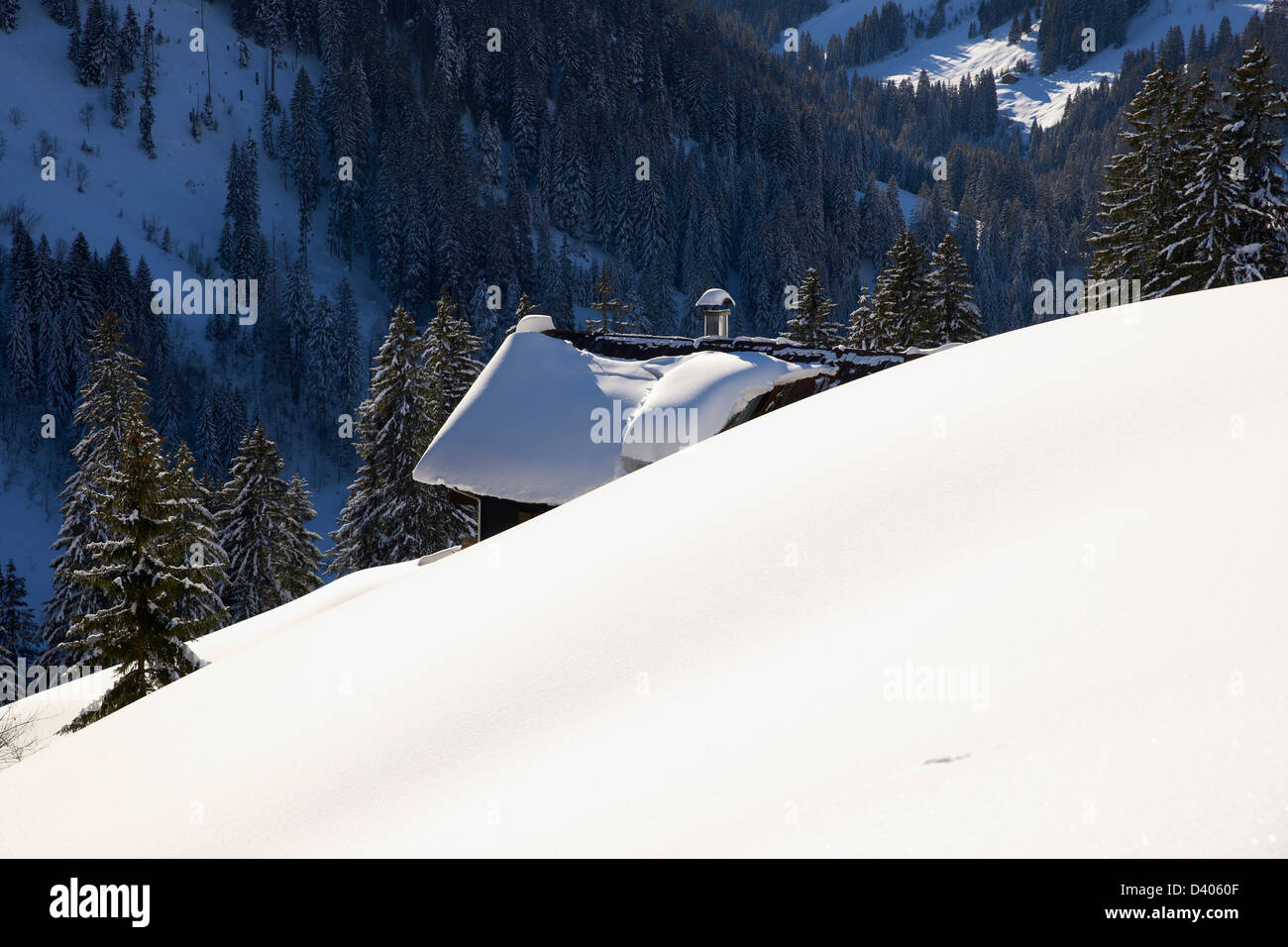 Wooden farmhouse hidden in deep snow Stock Photo - Alamy
