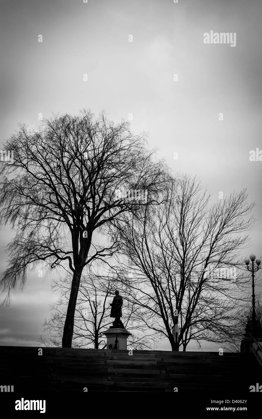 Statue and trees hi-res stock photography and images - Alamy