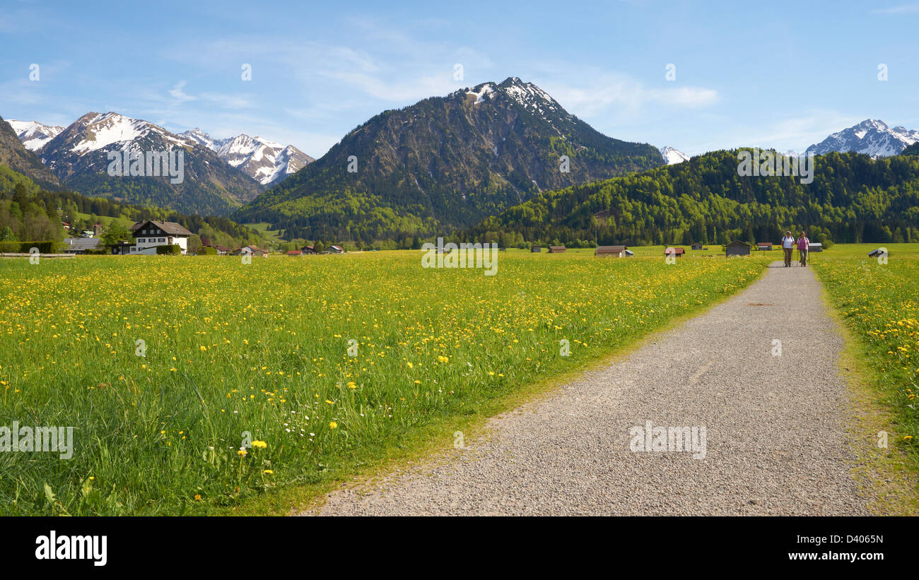 Hiking through the springtime meadows in the Allgaeu Alps Stock Photo ...