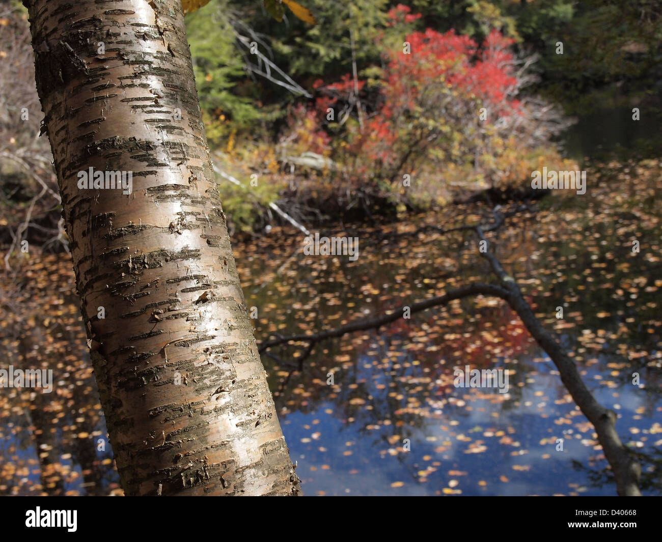 Autumn color and beautiful scenery in the northeast hi-res stock ...