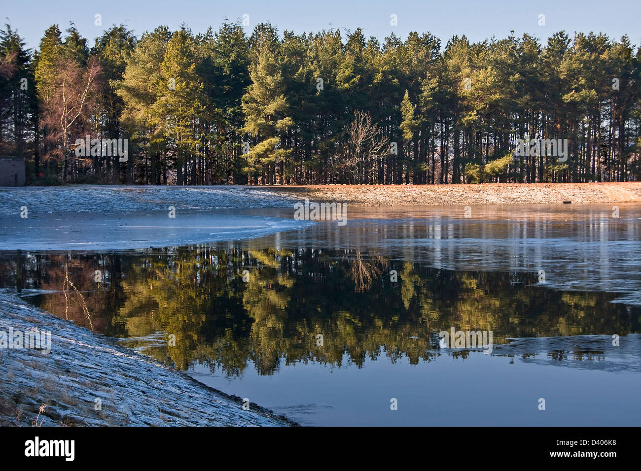 Thin ice and colour reflections on the water at Clatto Park Pond during ...