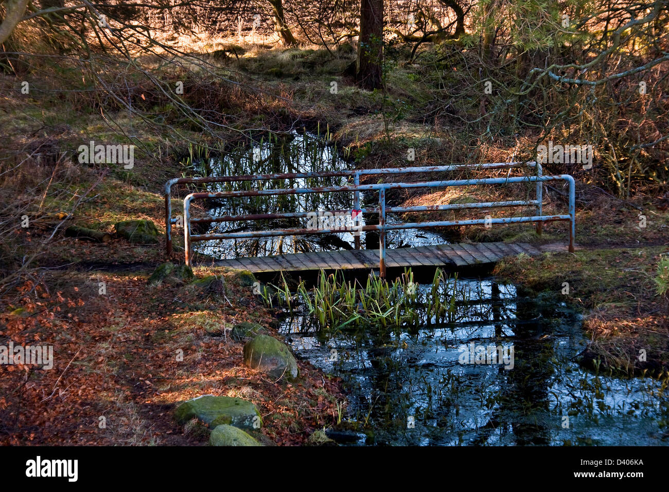 Clatto park woods hi-res stock photography and images - Alamy
