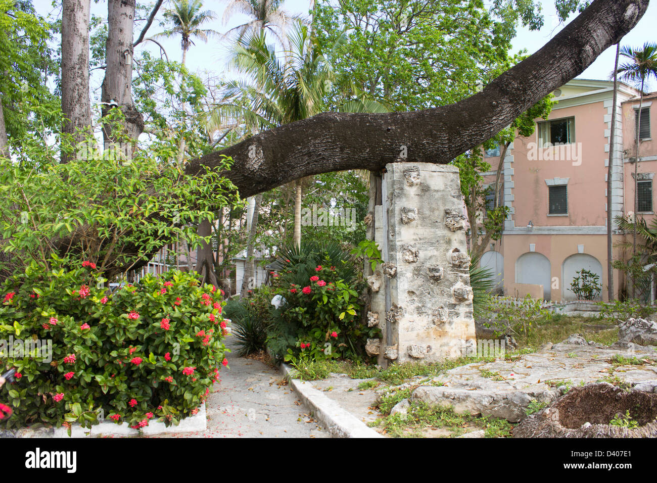 Nassau bahamas architecture hi-res stock photography and images - Alamy