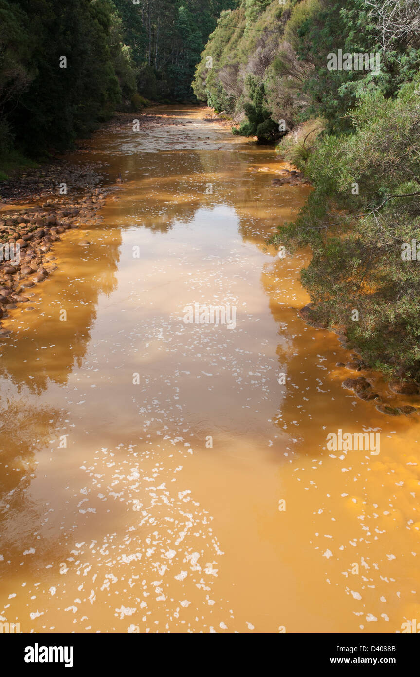 King River Gorge, beside the Abt or West Coast Wilderness Railway ...