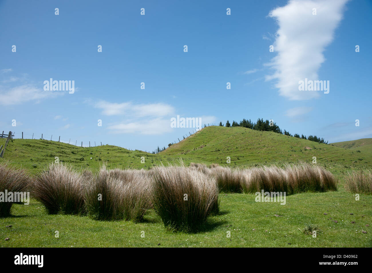 Stratus cloud hi-res stock photography and images - Alamy
