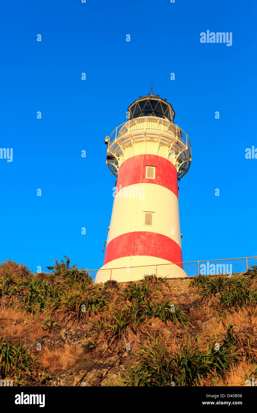 Cape Palliser lighthouse in south Wairarapa Stock Photo - Alamy