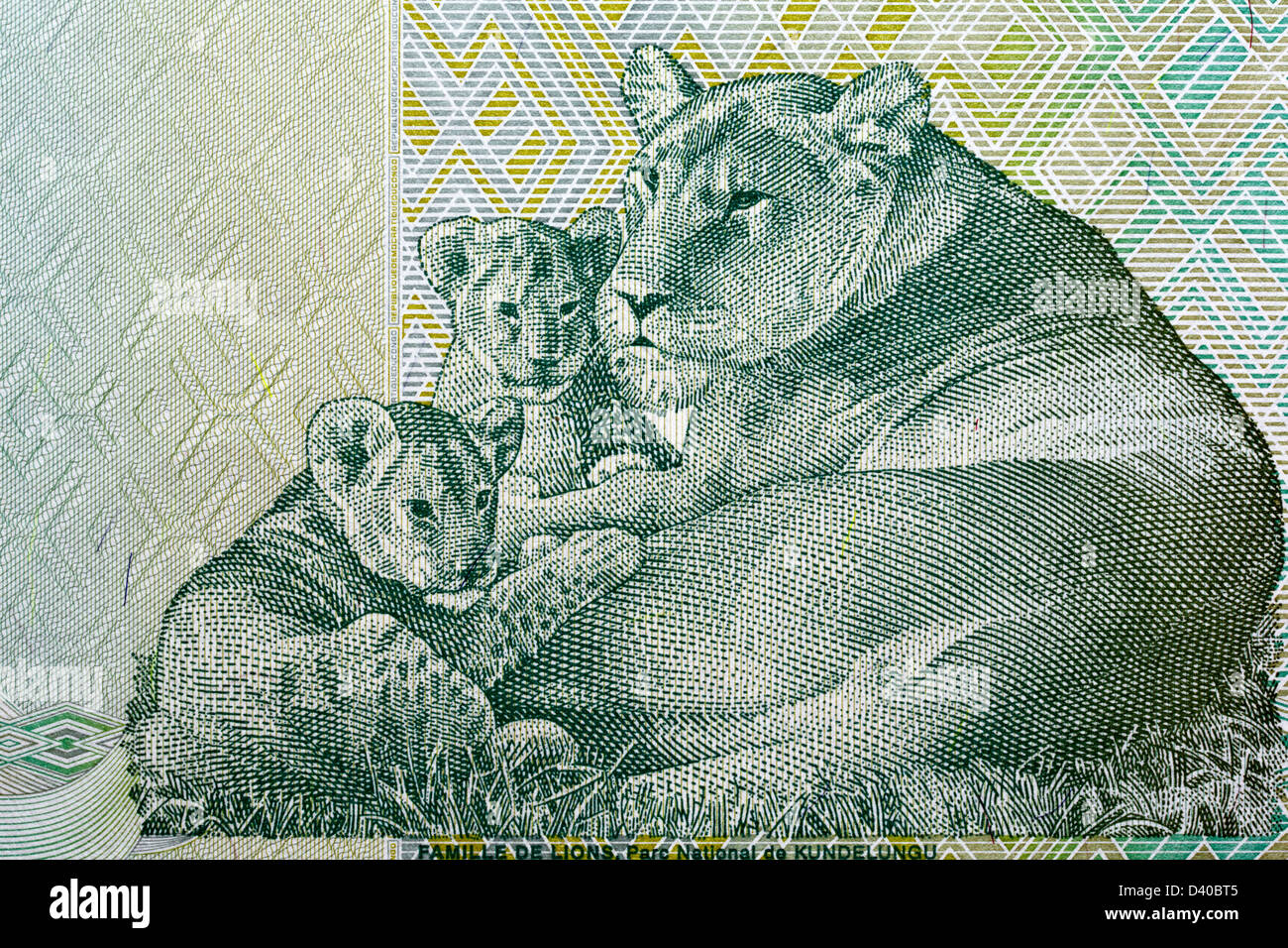 Lion with kittens from 20 Francs banknote, Congo, 2003 Stock Photo - Alamy
